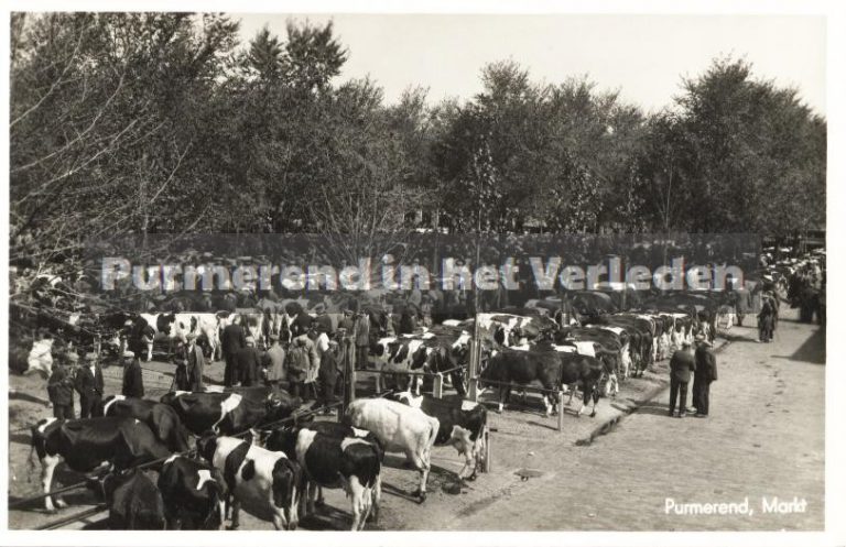 Koemarkt - Purmerend in het Verleden
