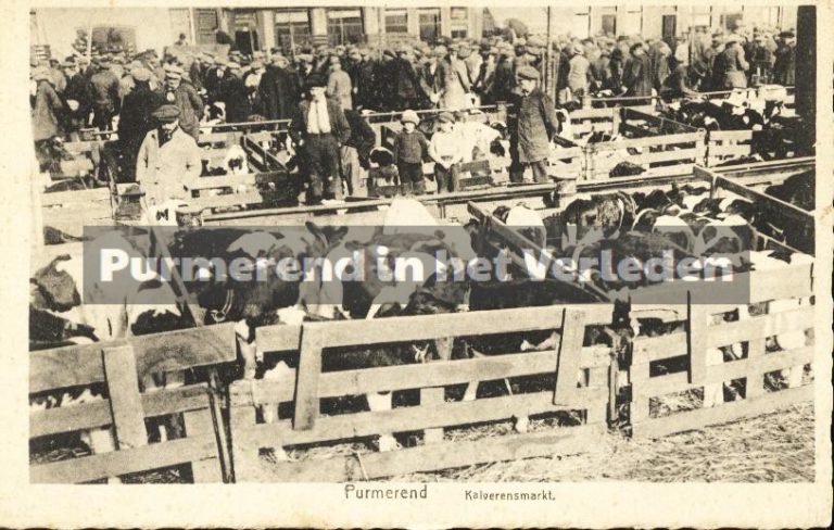 Koemarkt - Purmerend in het Verleden